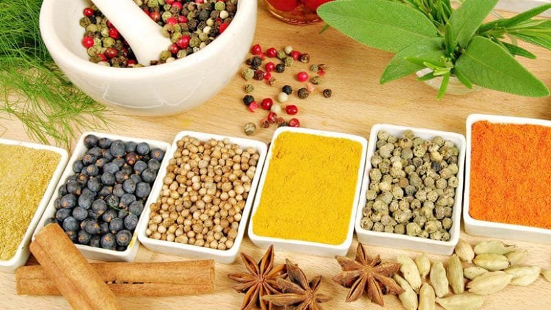 Why Ayurvedic Herbs are Important? | Ayurvedic Health Benefits 2021